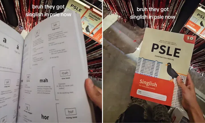 'Singlish PSLE' assessment book goes viral again, leaving netizens ...