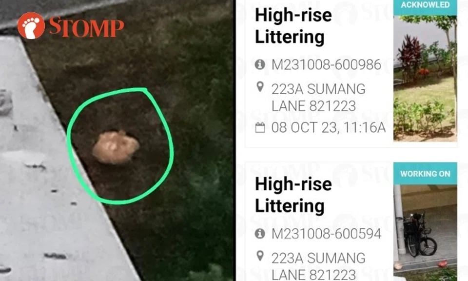 Killer litter persists at Punggol block even after man arrested for ...