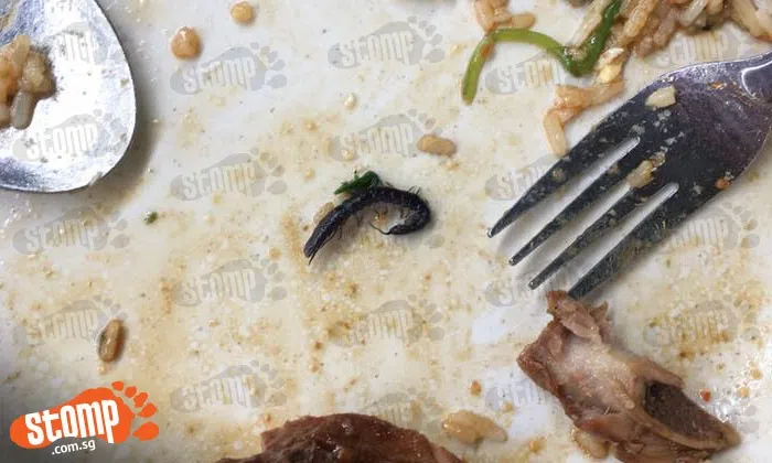 Nails, worms and insects: Look at the "extra ingredients" students find ...