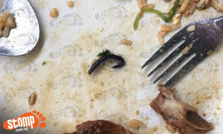Nails, worms and insects: Look at the "extra ingredients" students find ...