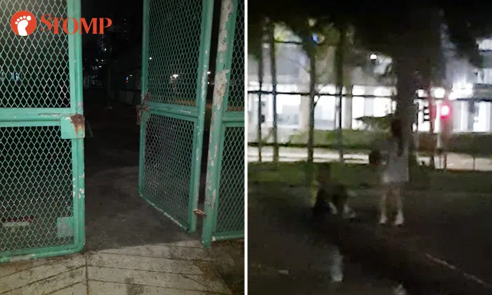 Youths shoot hoops and create late-night disturbance at unlocked ...
