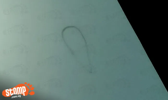 What's this unusual ring of smoke seen in the sky at Palawan Beach? | STOMP