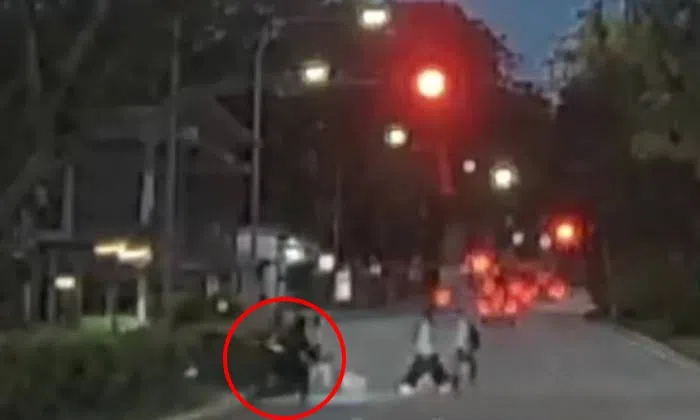 Reformative training for teen who rode PAB into 2 people, stole cash ...