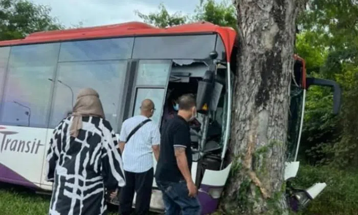 6 injured after bus crashes into tree along TPE slip road, driver ...
