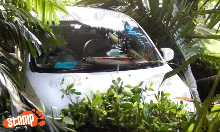 Car crashes into bushes at Changi Airport T2 | STOMP