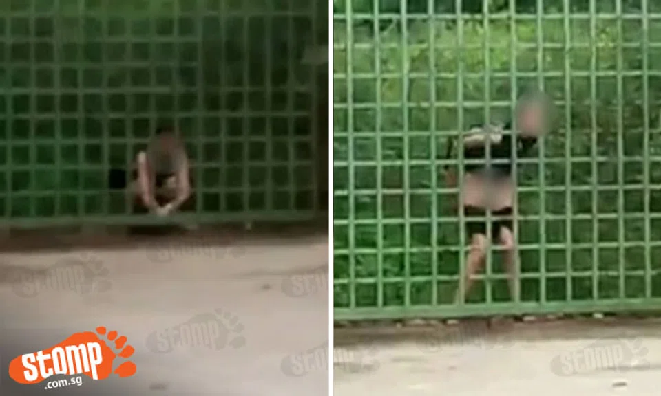 Seriously? 'Pretty woman' does her business right by the roadside | STOMP