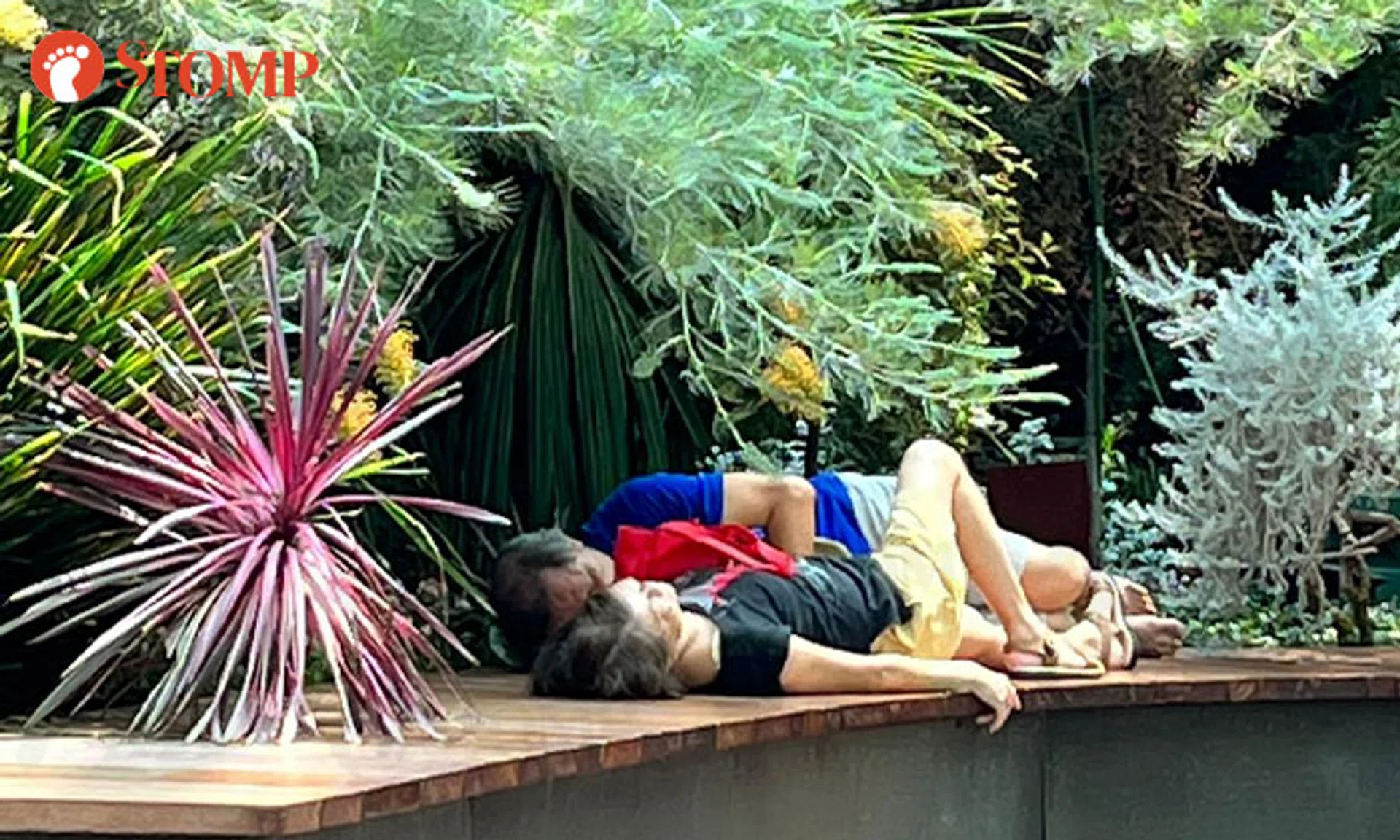 Couple nap at Gardens by the Bay's Flower Dome for over 30 minutes | STOMP