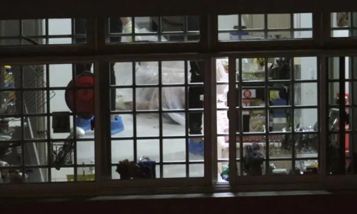 Maid allegedly stabbed employer in neck and chest | STOMP