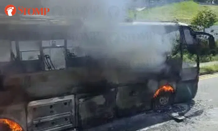 Bus bursts into flames along Mandai Avenue | STOMP