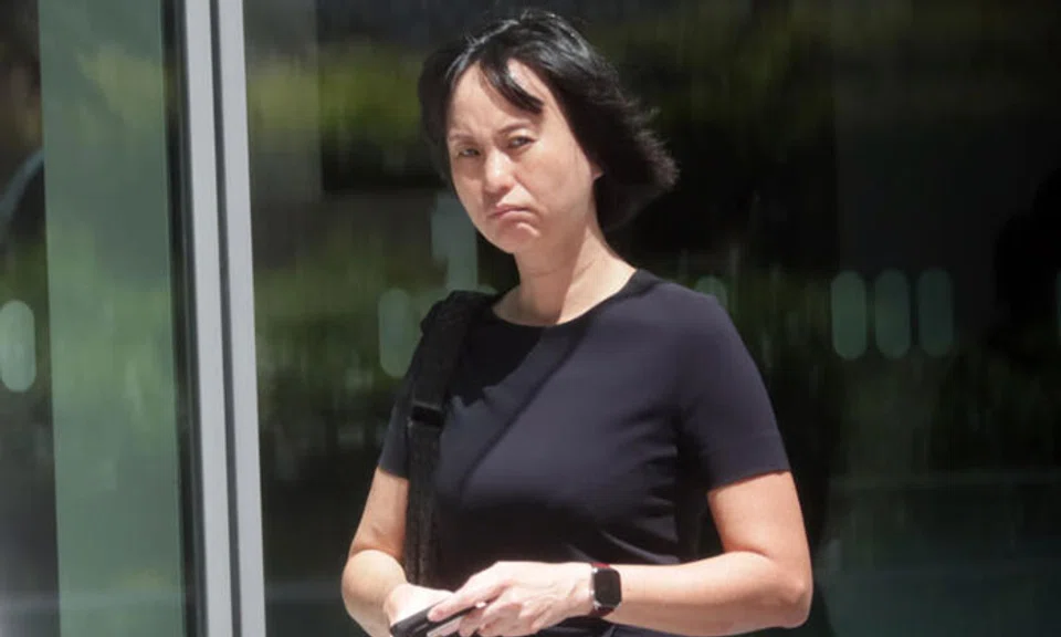 Company director with history of speeding hit pedestrian with car ...