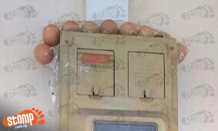 Stomper baffled by sight of eggs taped to electrical meter outside Chai ...