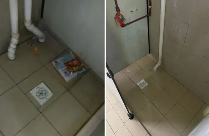 MOM conducts surprise inspection after resident shares video of rat in ...