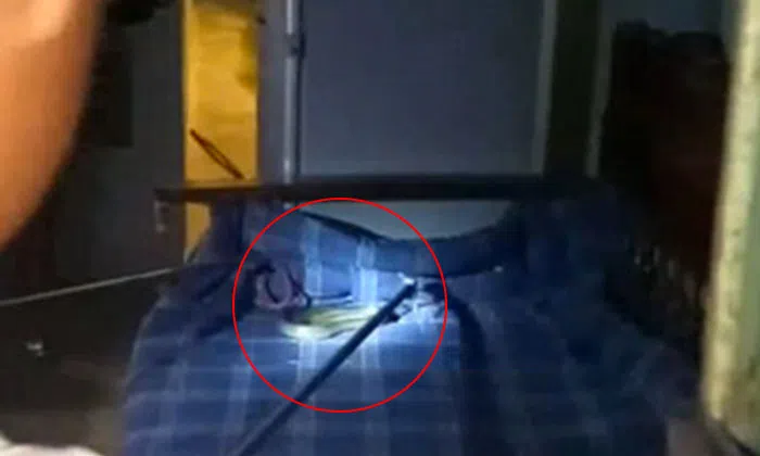 Thai woman freaks out after finding 'surprise guest' crashing inside ...