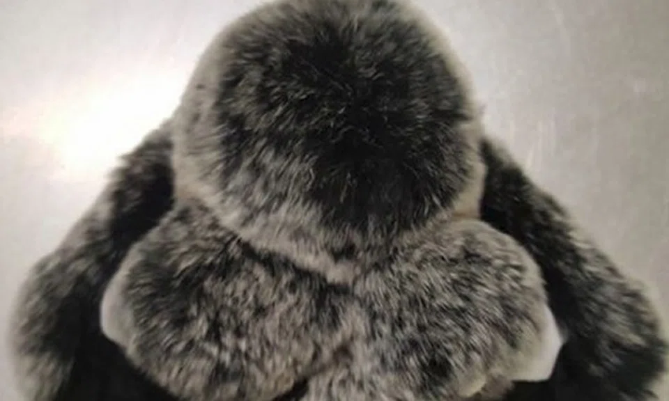 Seen these popular rabbit key chains? Turns out some are made from REAL ...