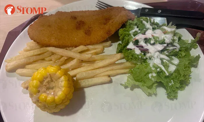 Would you pay $8.90 for this food court fish and chips meal? | STOMP