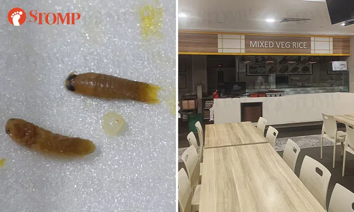 SFA takes enforcement action against mixed rice stall after diner finds ...