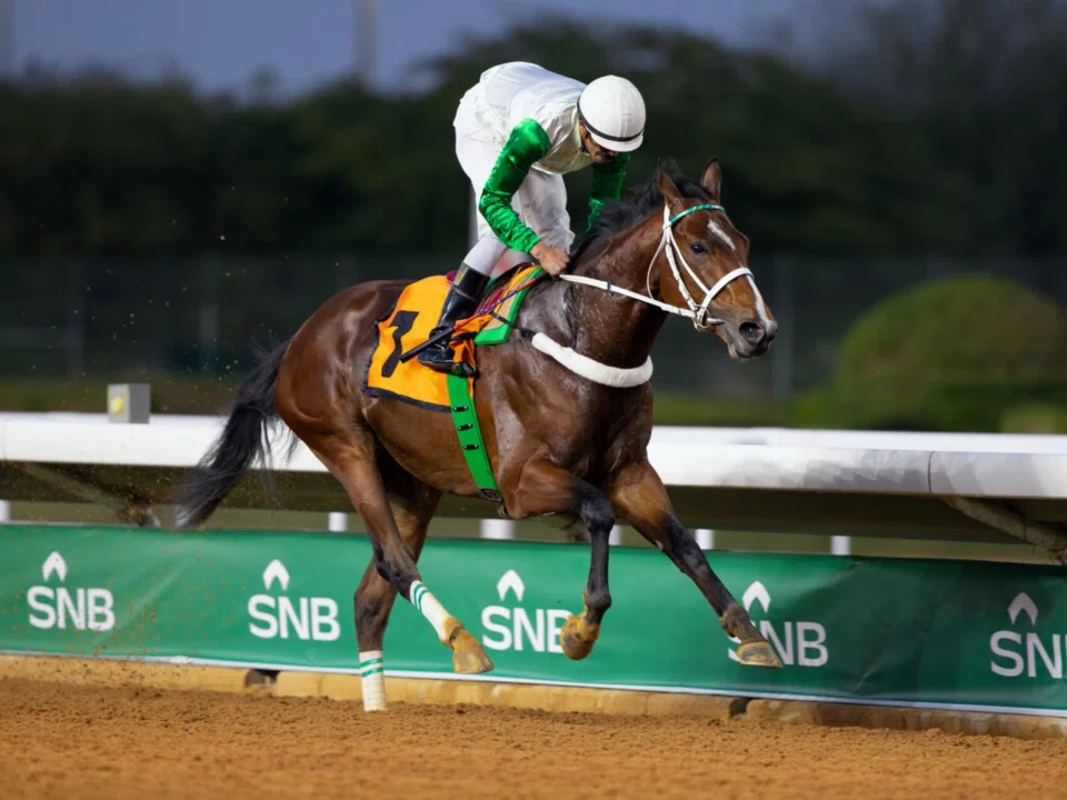 Al Musmak is top local hope in Saudi Cup | STOMP