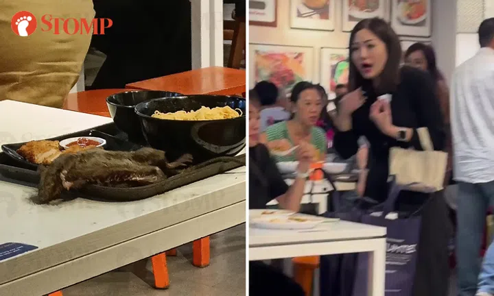 Tangs Market closes on Nov 30 for deep cleaning after rat falls from ...