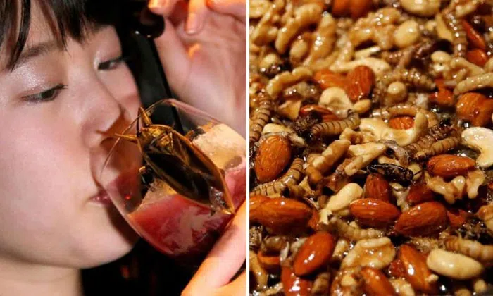 Anyone fancy a bug? Bar in Japan serves it with cocktail along with ...