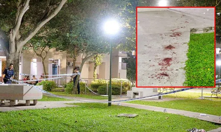 Trail of blood in Chai Chee after 66-year-old man slashes friend ...