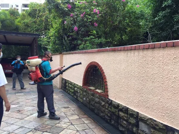 NEA steps up mosquito checks in Watten Estate after Singapore's first ...