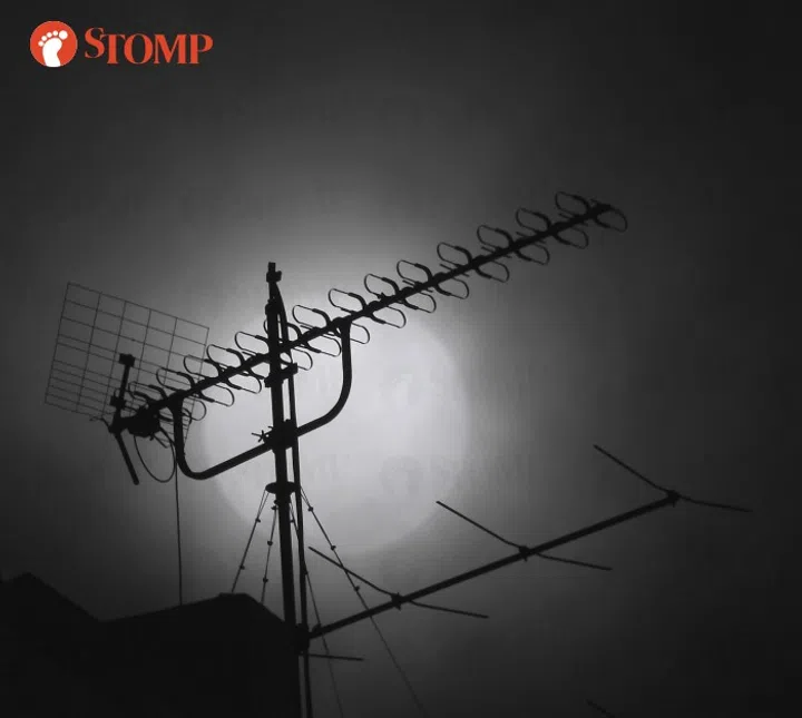 Stunning pics of wolf moon captured by Woodlands resident | STOMP
