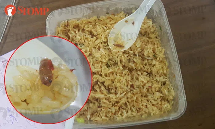 Woman throws up after finding fat 'maggot' in fried rice from Holland ...
