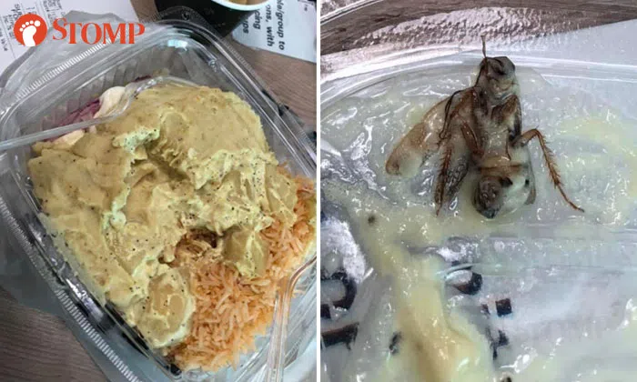 SFA investigating after woman gets extra protein in Stuff'd bowl: A ...