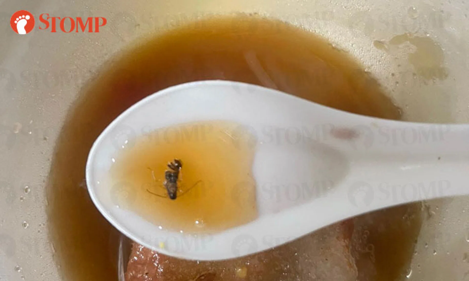 Woman finds dead cockroach in bowl of ice kacang: "I almost vomited ...