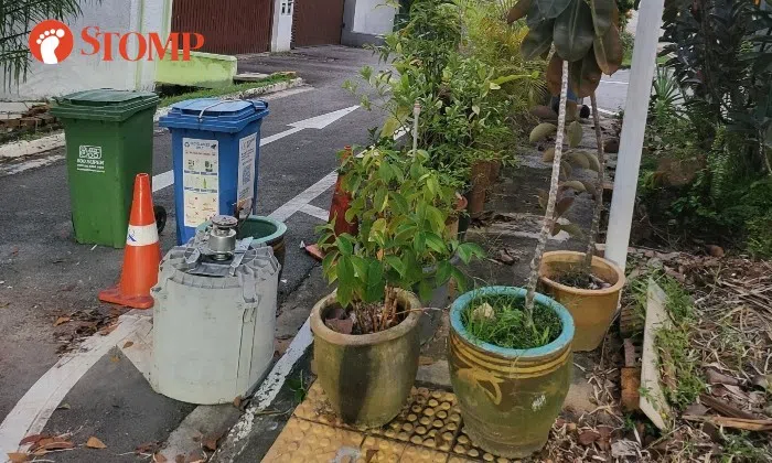 Resident blocks Lornie Road with bins and plant pots | STOMP