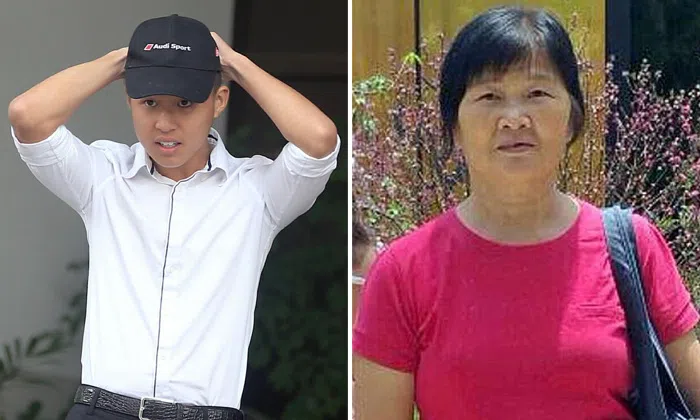 Teen e-scooter rider pleads guilty in incident which caused pedestrian ...