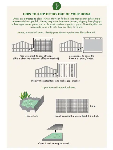 Lawyer in Bright Hill horrified after finding his beloved koi mutilated ...