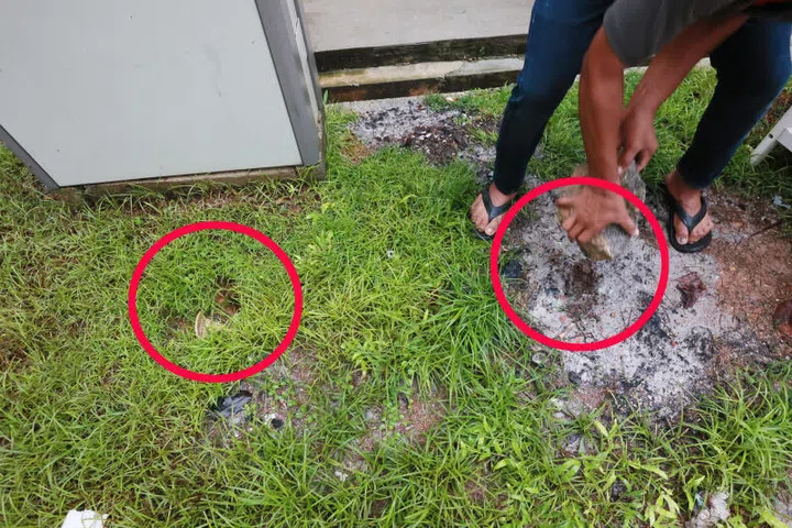 Hougang resident can't start car, finds rat droppings in engine bay and ...