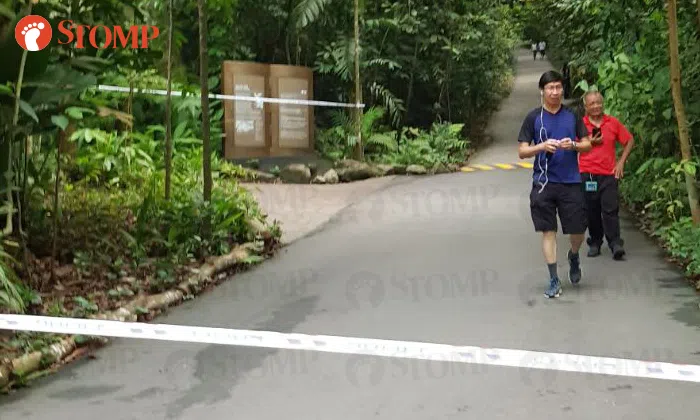 War relic found at Bukit Timah Nature Reserve | STOMP