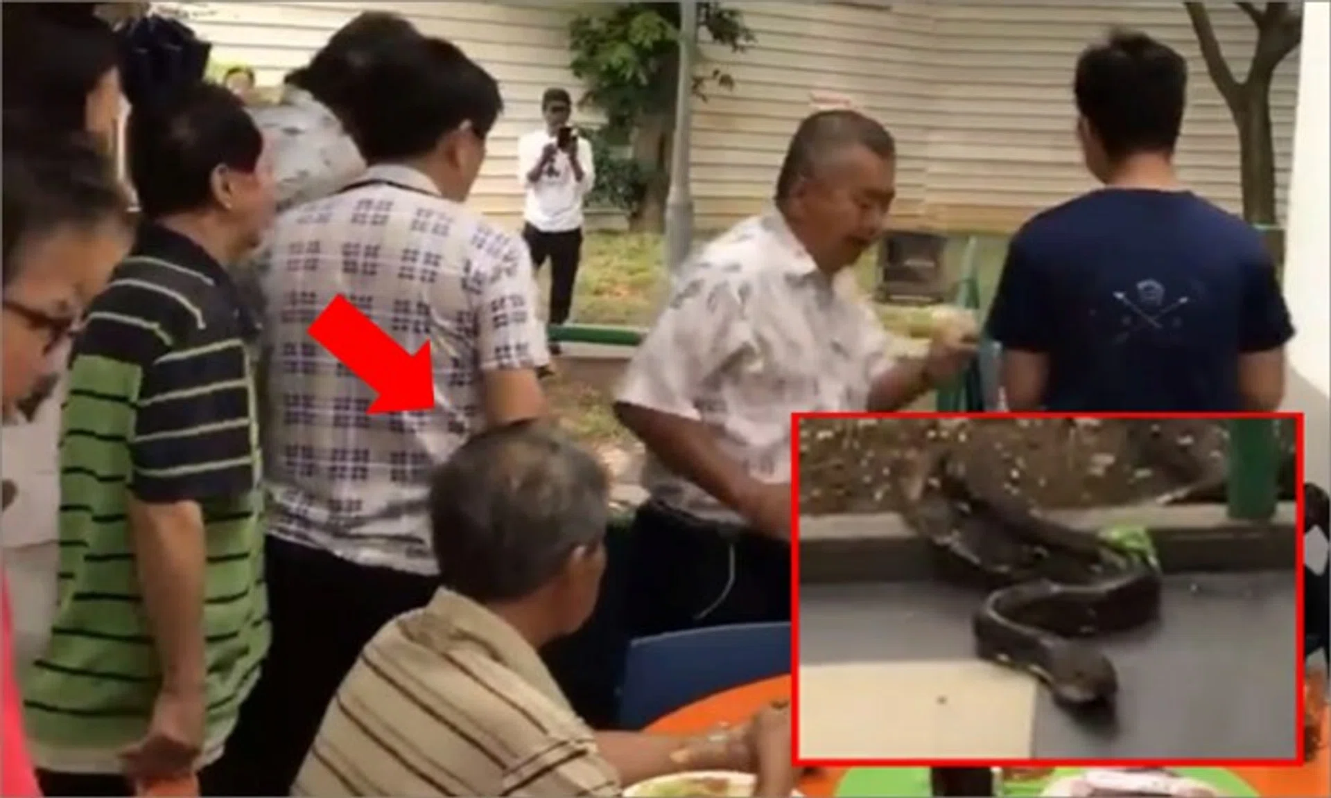 Diners panic during 'snake invasion' at coffeeshop -- but uncle continues eating beehoon like a ...