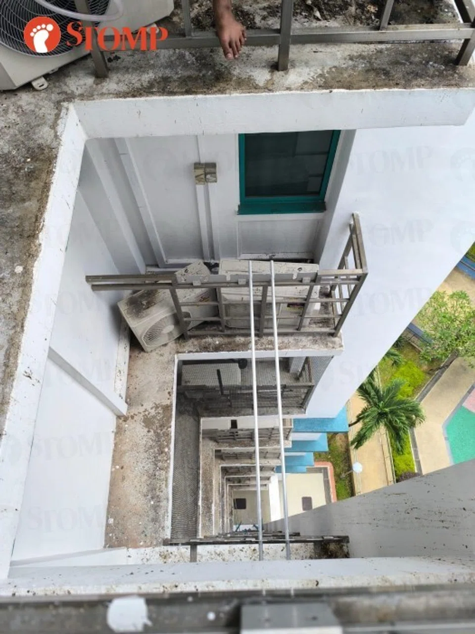 Admiralty Drive HDB block hit by bird droppings since 2023, resident ...