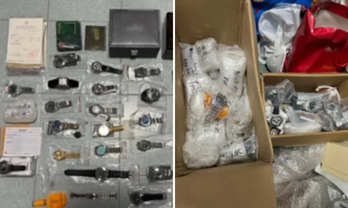 Man arrested for selling counterfeit goods online, $56k worth of fakes ...