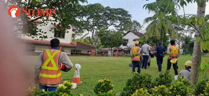 Excavator catches fire while gardeners plant trees near Capricorn Drive ...