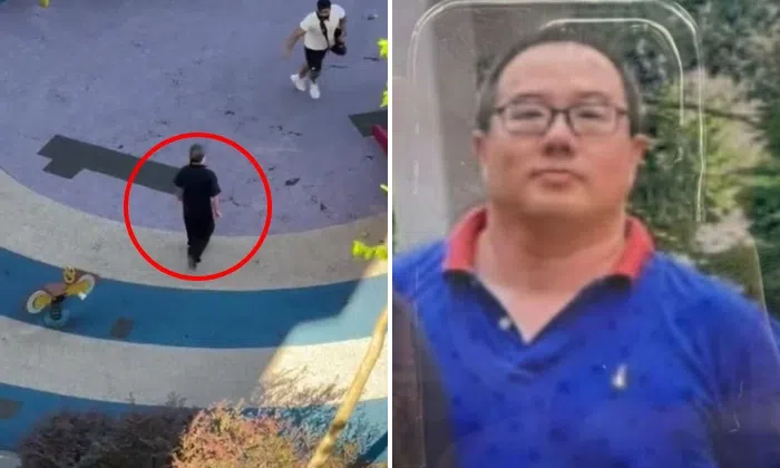 Man charged with murder after chasing grassroots volunteer in Clementi ...