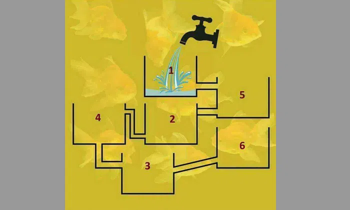 So, which container will fill up first? | STOMP