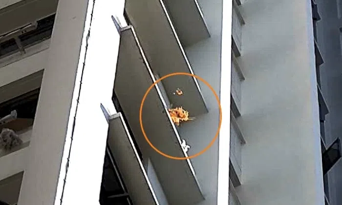 Flat owner, 63, fined $700 for presumably throwing object out of toilet ...