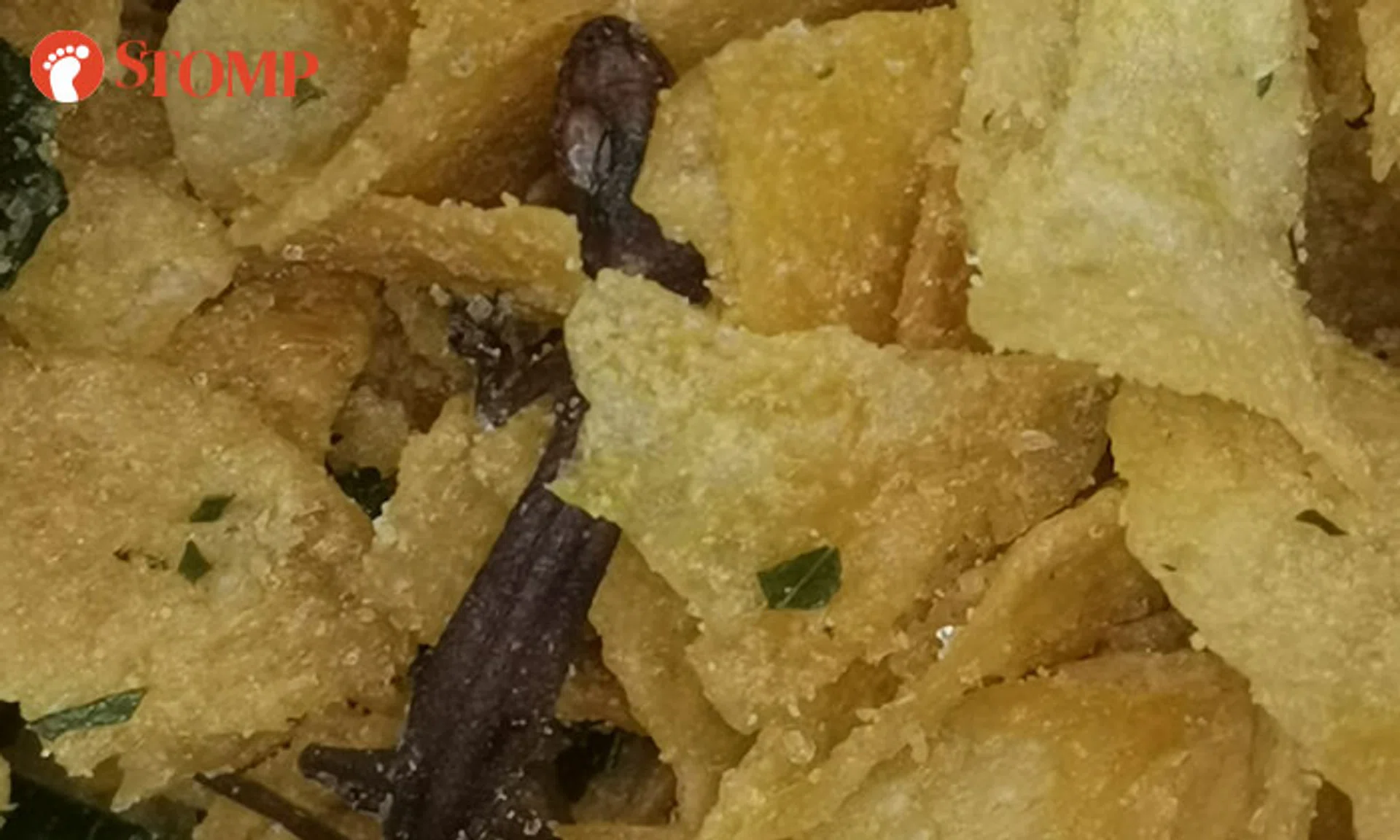 Irvins Salted Egg responds after woman finds dead lizard in bag of ...