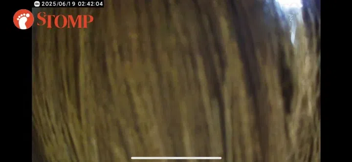 Duo allegedly use broom to cover camera before taking Nike shoes from ...