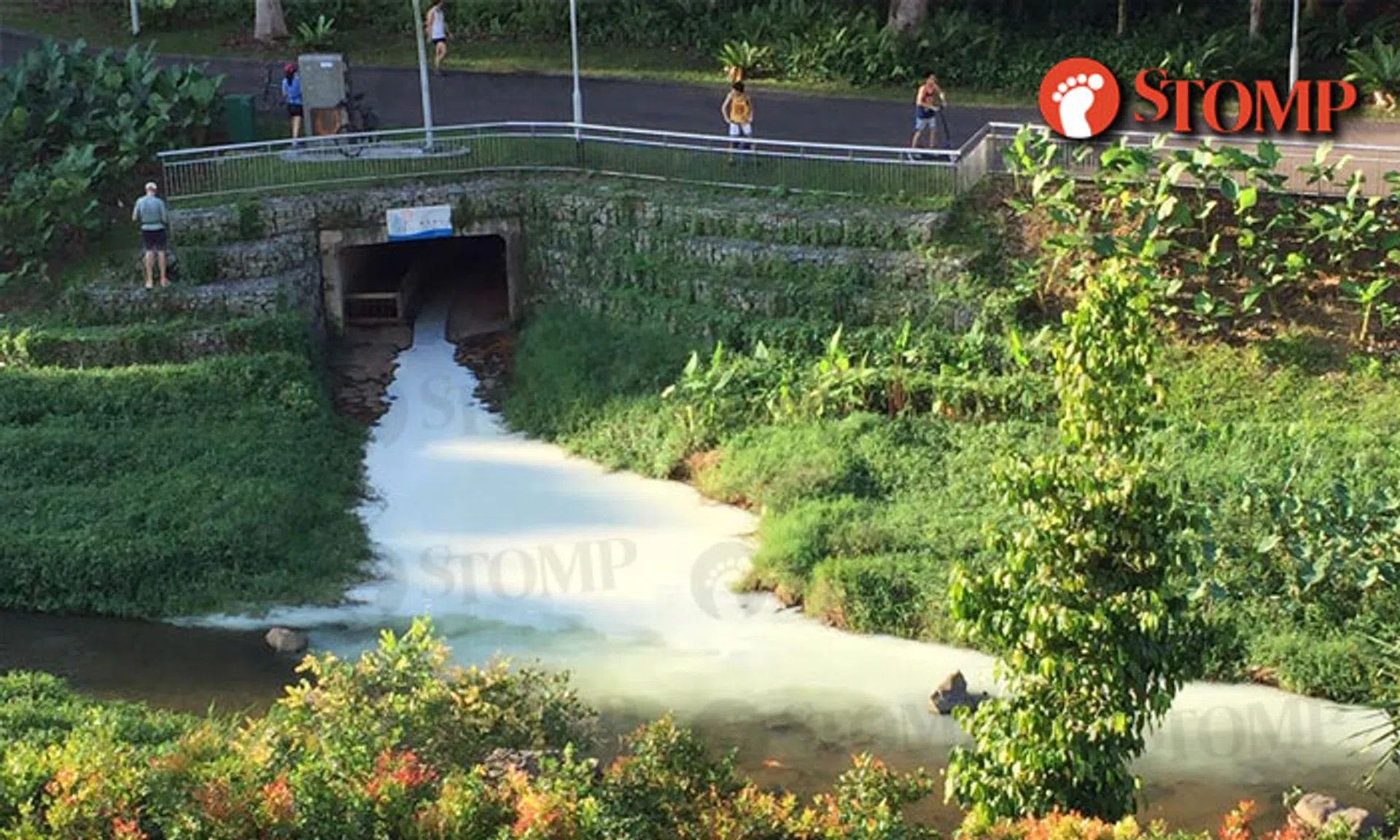 What's this white liquid flowing out of drain..., Latest News - STOMP