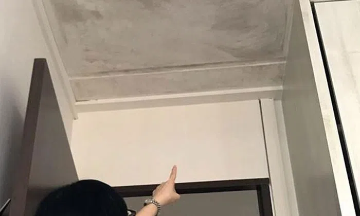 Woodland resident frustrated after mould infects ceiling, say it's due ...