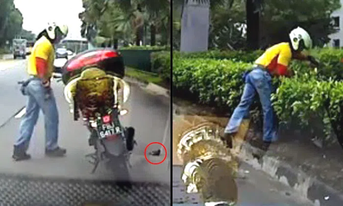 Kind biker stops to help injured bird on road near Admiralty MRT ...