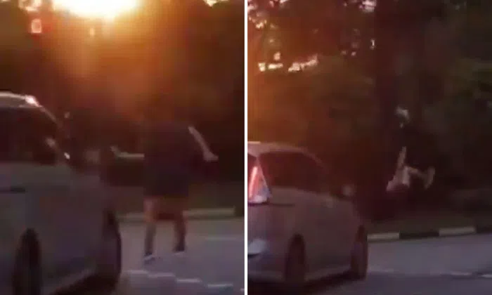 Woman sent flying after car hits her while she's crossing road in ...
