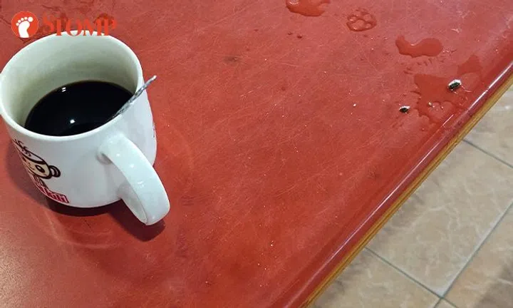 Bird poop narrowly misses Stomper's kopi at West Coast Food Centre | STOMP