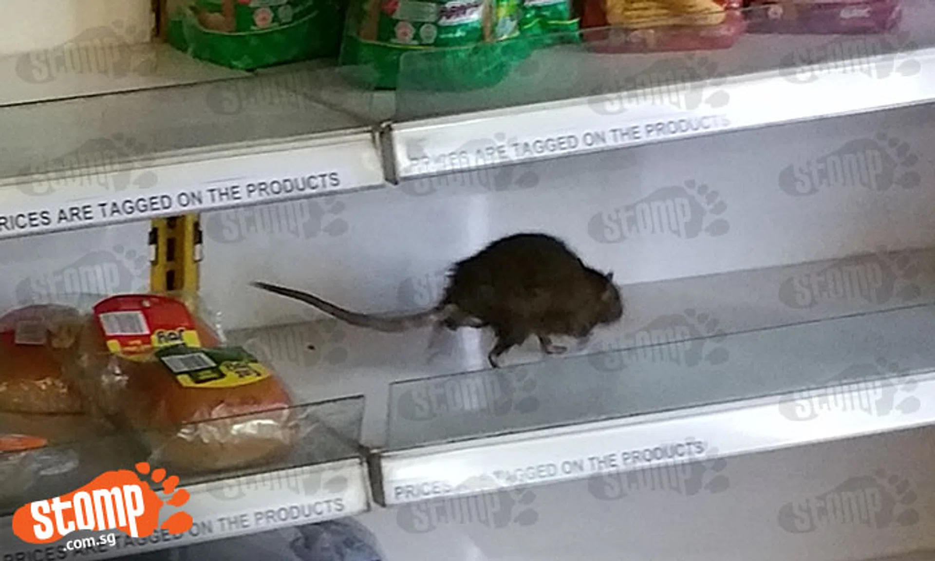 Shopper shocked to see large rat in bread stand at Bedok North ...
