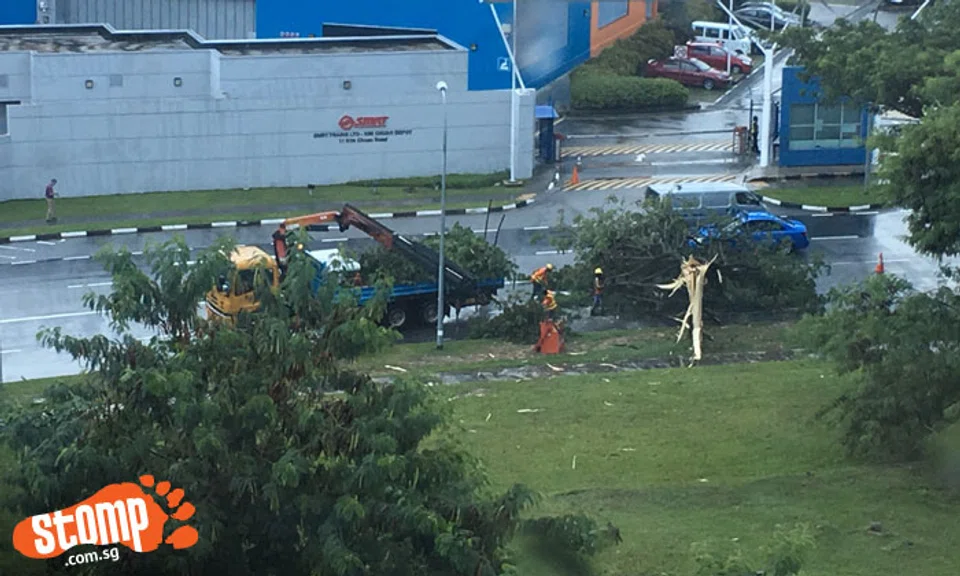 Tree struck down by lightning during heavy rain at Kim Chuan Rd | STOMP